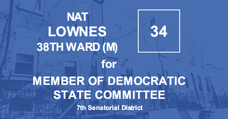 What is Democratic State Committee?